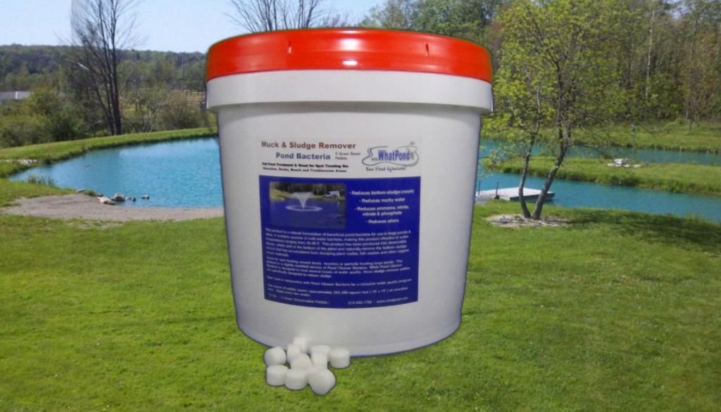 Sludge & Muck Remover 3gram Pellets - Pond Building to Pond Supplies