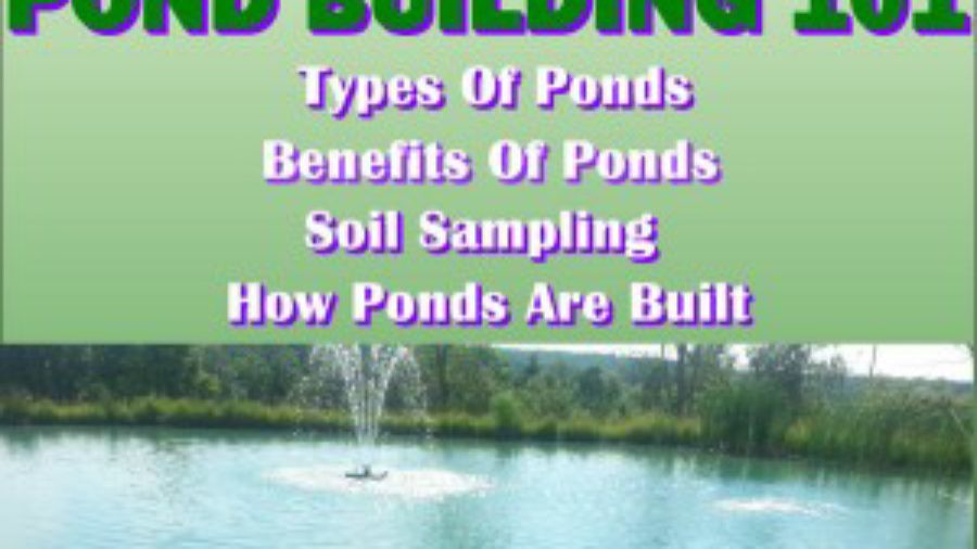 What is a pond? Discover the types of ponds and how they’re built.