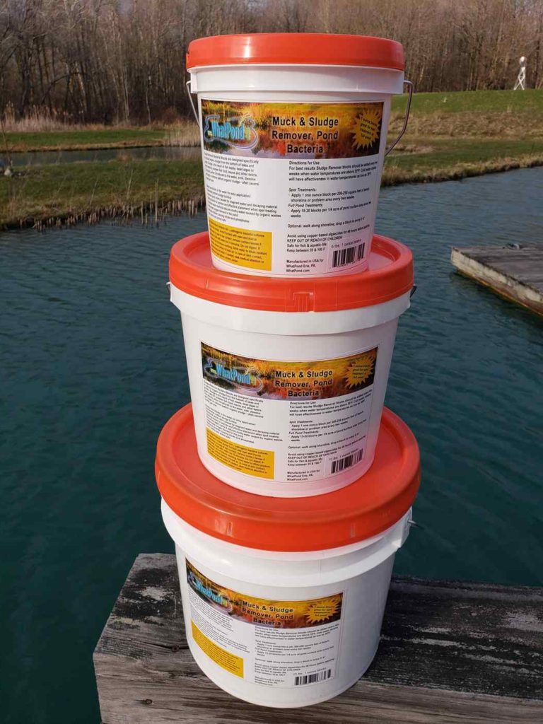 Sludge & Muck Remover 1 ounce blocks - Pond Building to Pond Supplies