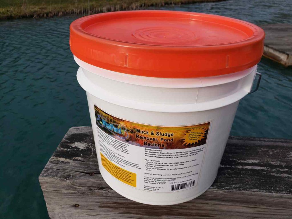 Sludge & Muck Remover 1 ounce blocks - Pond Building to Pond Supplies