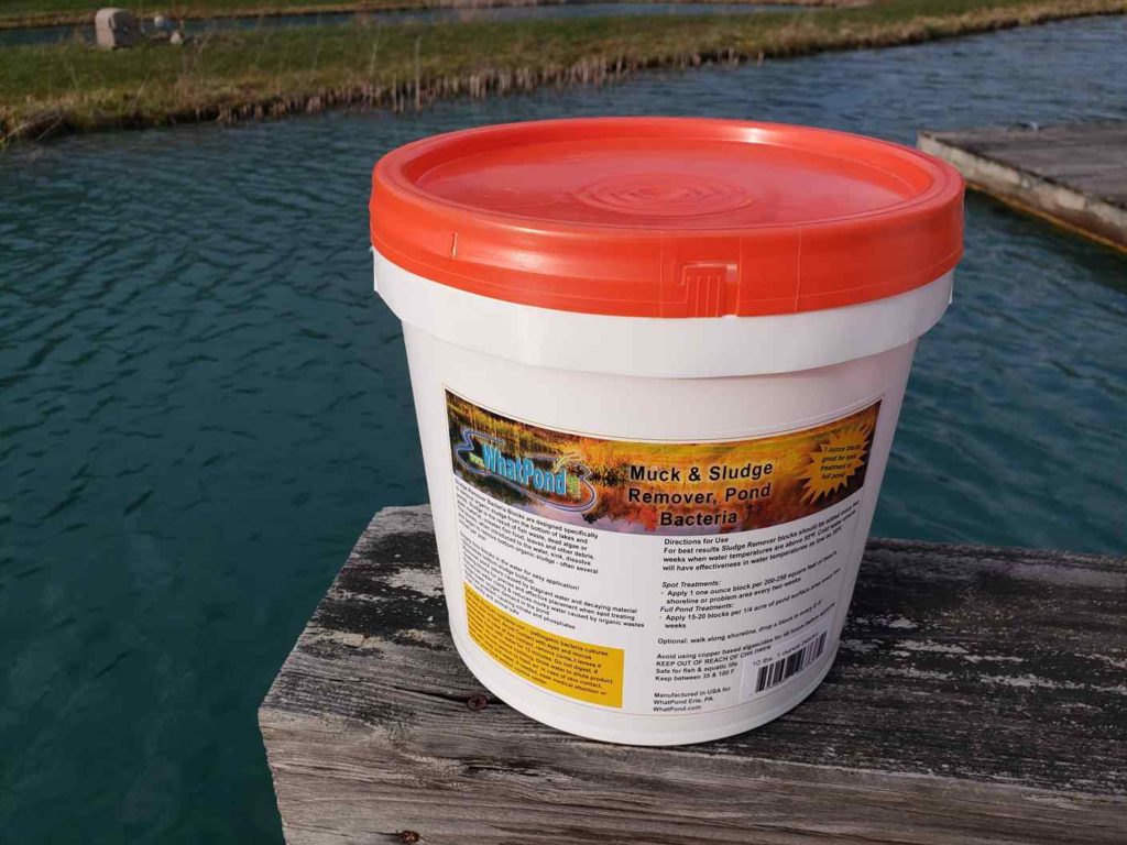 Sludge & Muck Remover 1 ounce blocks - Pond Building to Pond Supplies