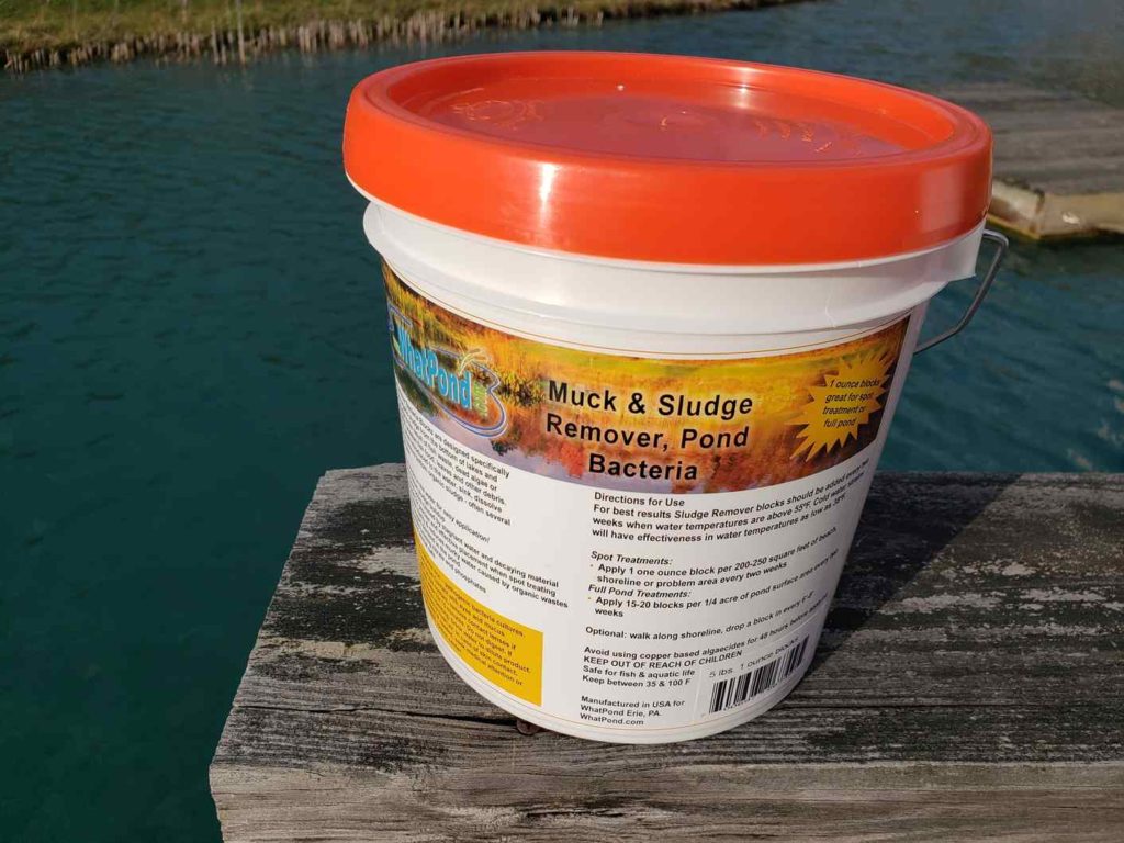 Sludge & Muck Remover 1 ounce blocks - Pond Building to Pond Supplies